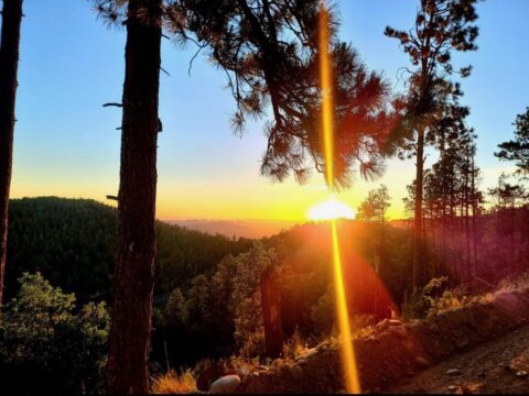 Exploring Historic Springerville Arizona - Arizona White Mountain Real ...